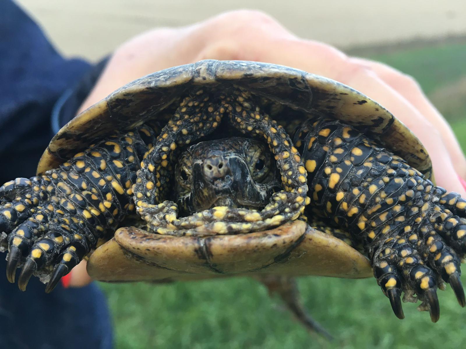 Delta del Po, nasce "Acqua campus natura": c'è anche l'affascinante ...