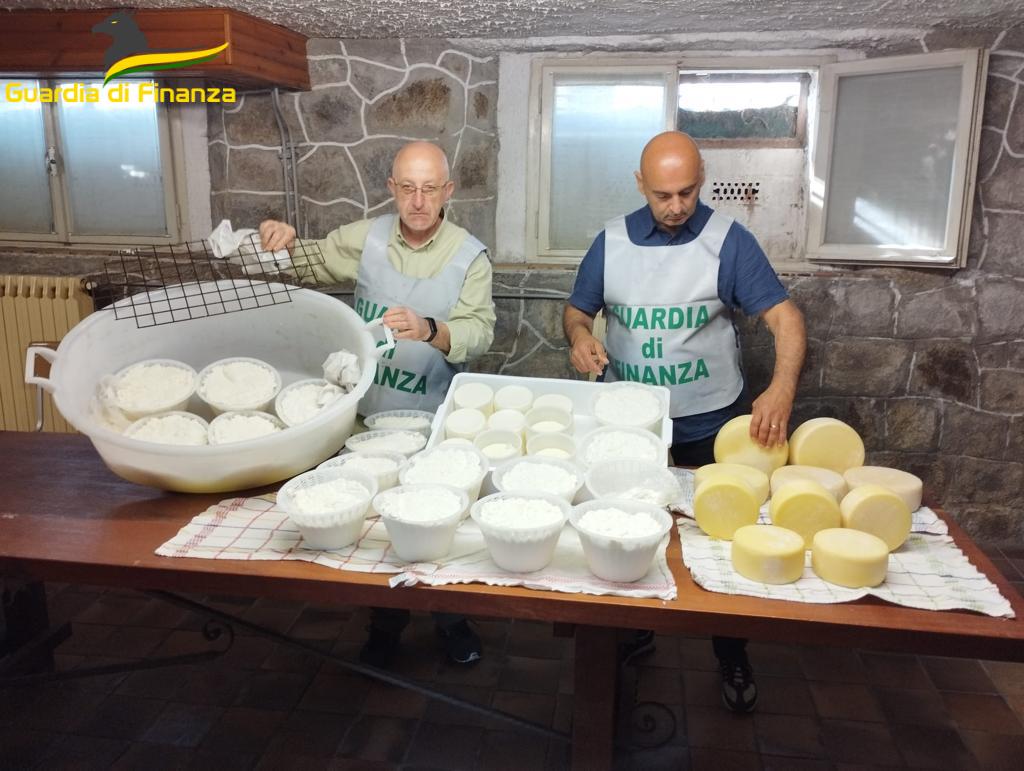 Produceva e vendeva formaggi senza autorizzazione e senza pagare le ... Produceva e vendeva formaggi senza autorizzazione e senza pagare le ...